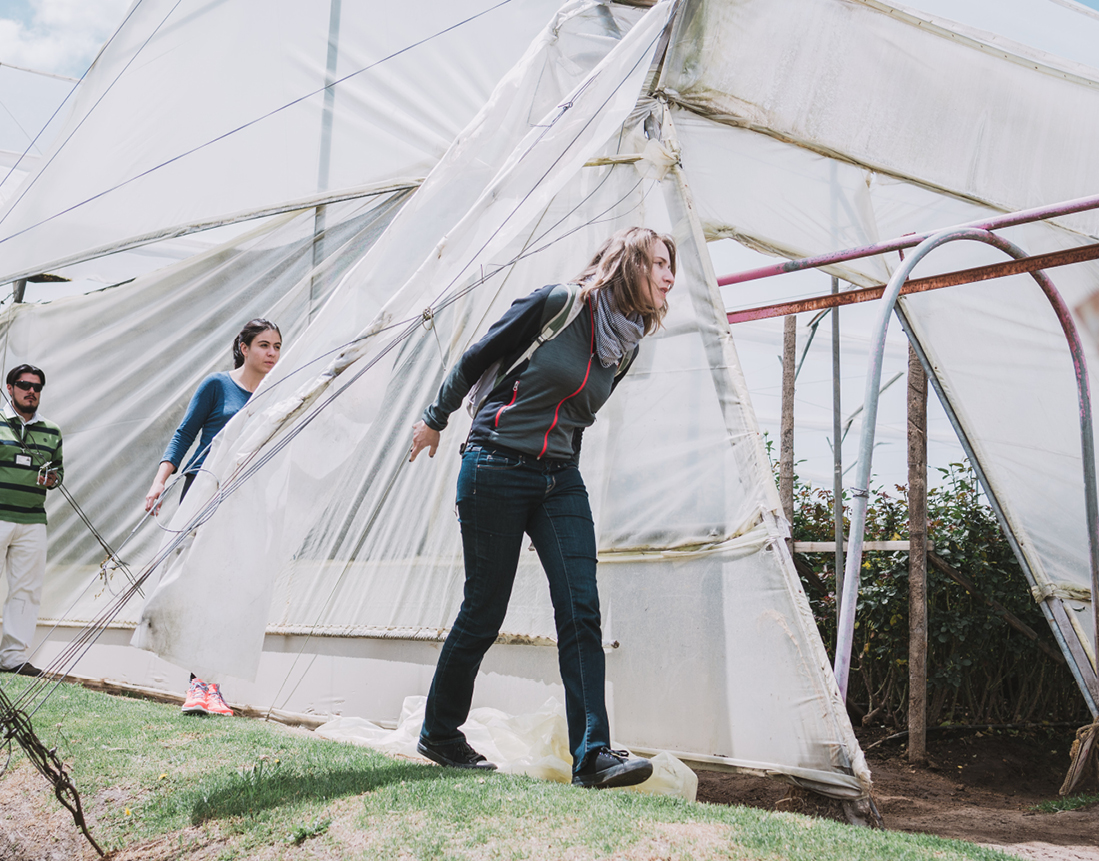 Conville Directing Maternal Opioid Misuse Project in Texas - Clinton ...